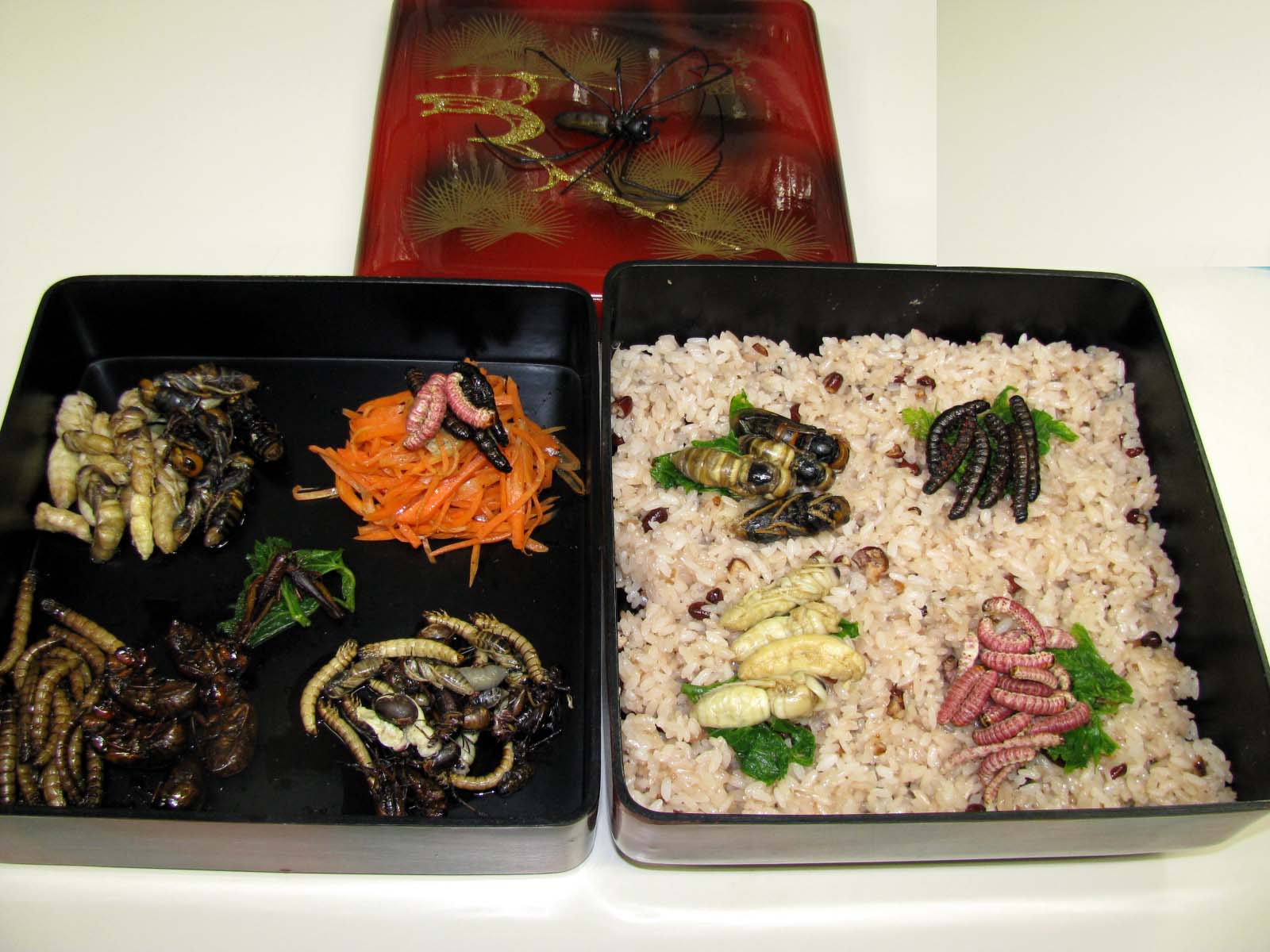 Eating insects in Japan | Đơn Vị Tổ Chức Sự Kiện Chuyên Nghiệp Tại Nhật Bản
