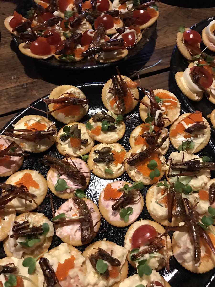 Eating insects in Japan | Đơn Vị Tổ Chức Sự Kiện Chuyên Nghiệp Tại Nhật Bản